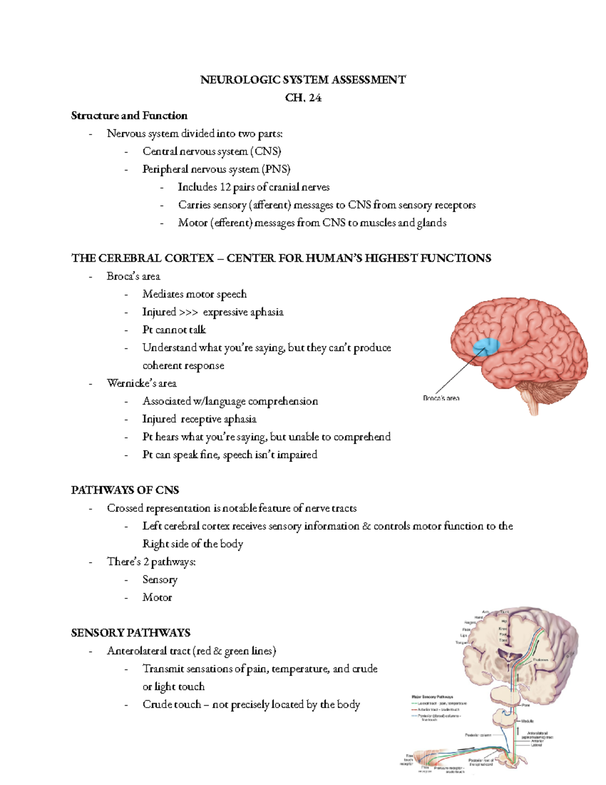 Ch 24 Neuro - Comprehensive Assessment Notes from Jarvis Textbook - Studocu