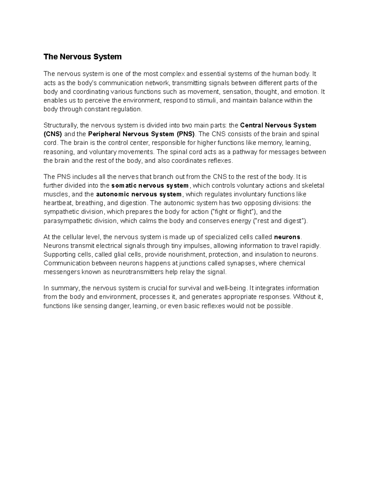 Nervous System Overview: Structure & Function Insights - Studocu