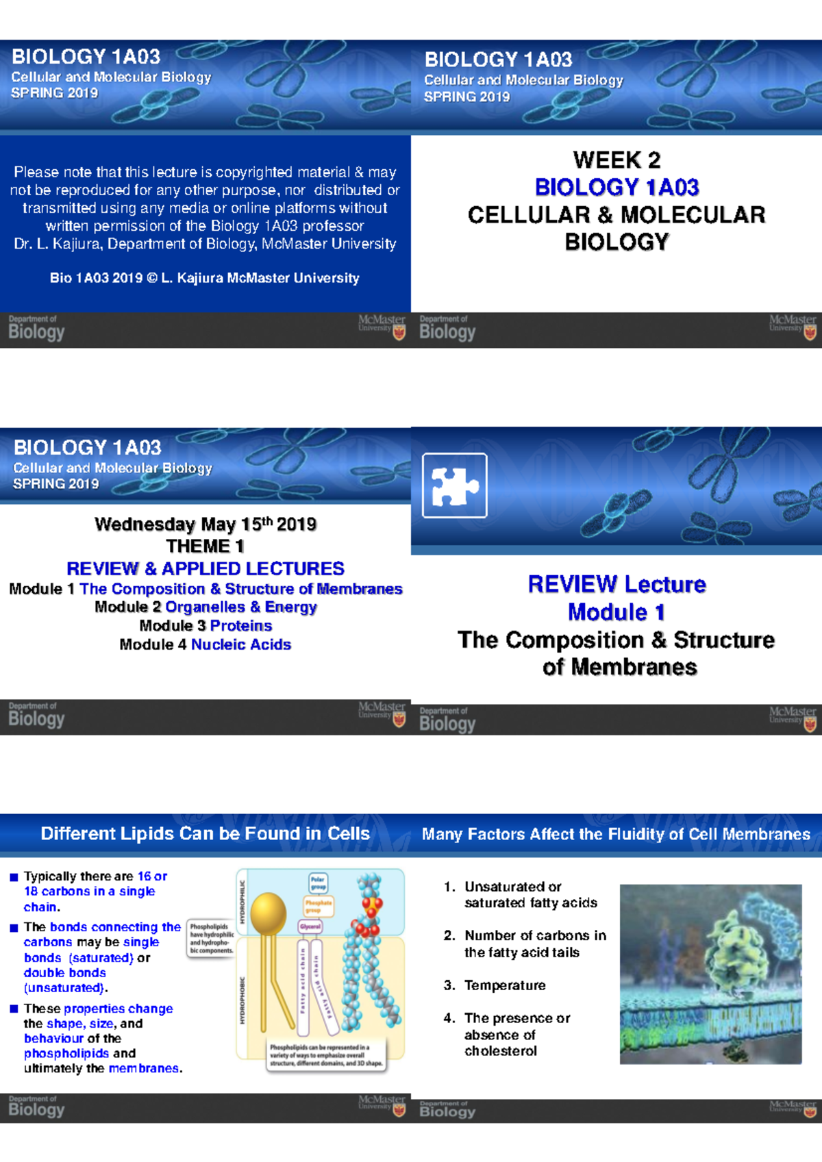1aw2 - Lecture notes 2 - BIOLOGY 1A03 BIOLOGY 1A03 Cellular and ...