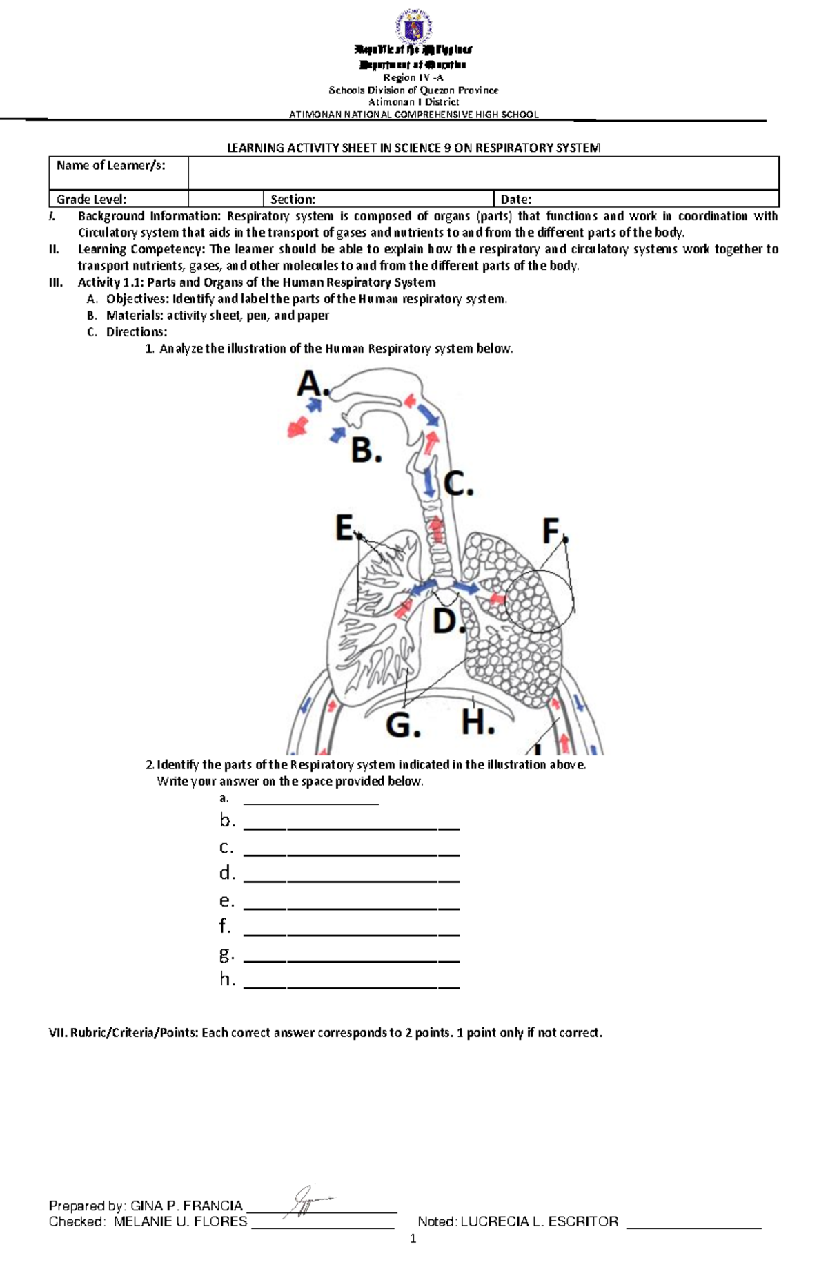 Science 9 Learning Activity Sheet: Respiratory System (LAS) - Studocu