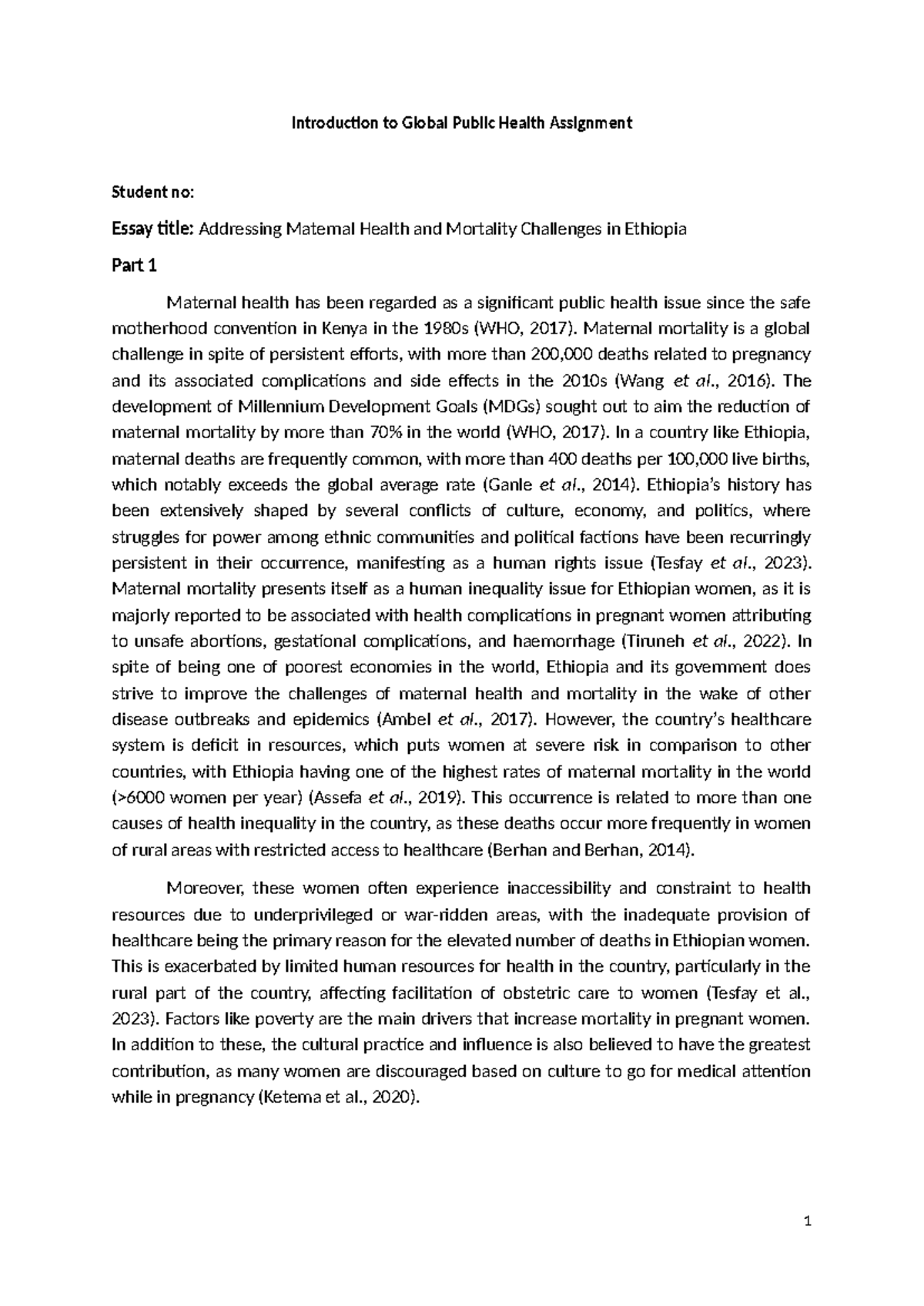 Global Public Health Essay (PH101): Addressing Maternal Health in ...