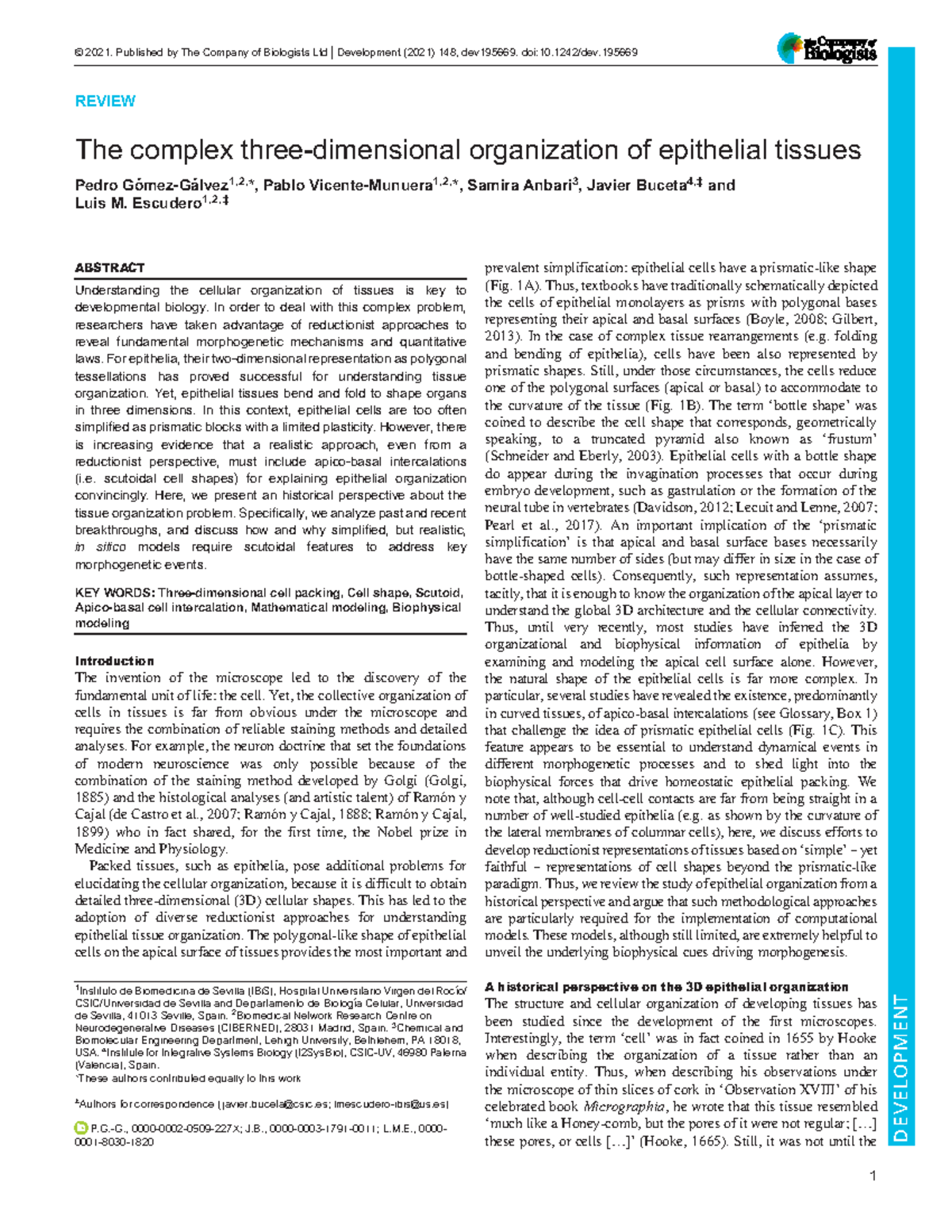 The complex three dimensional organization of epithelial tissues ...