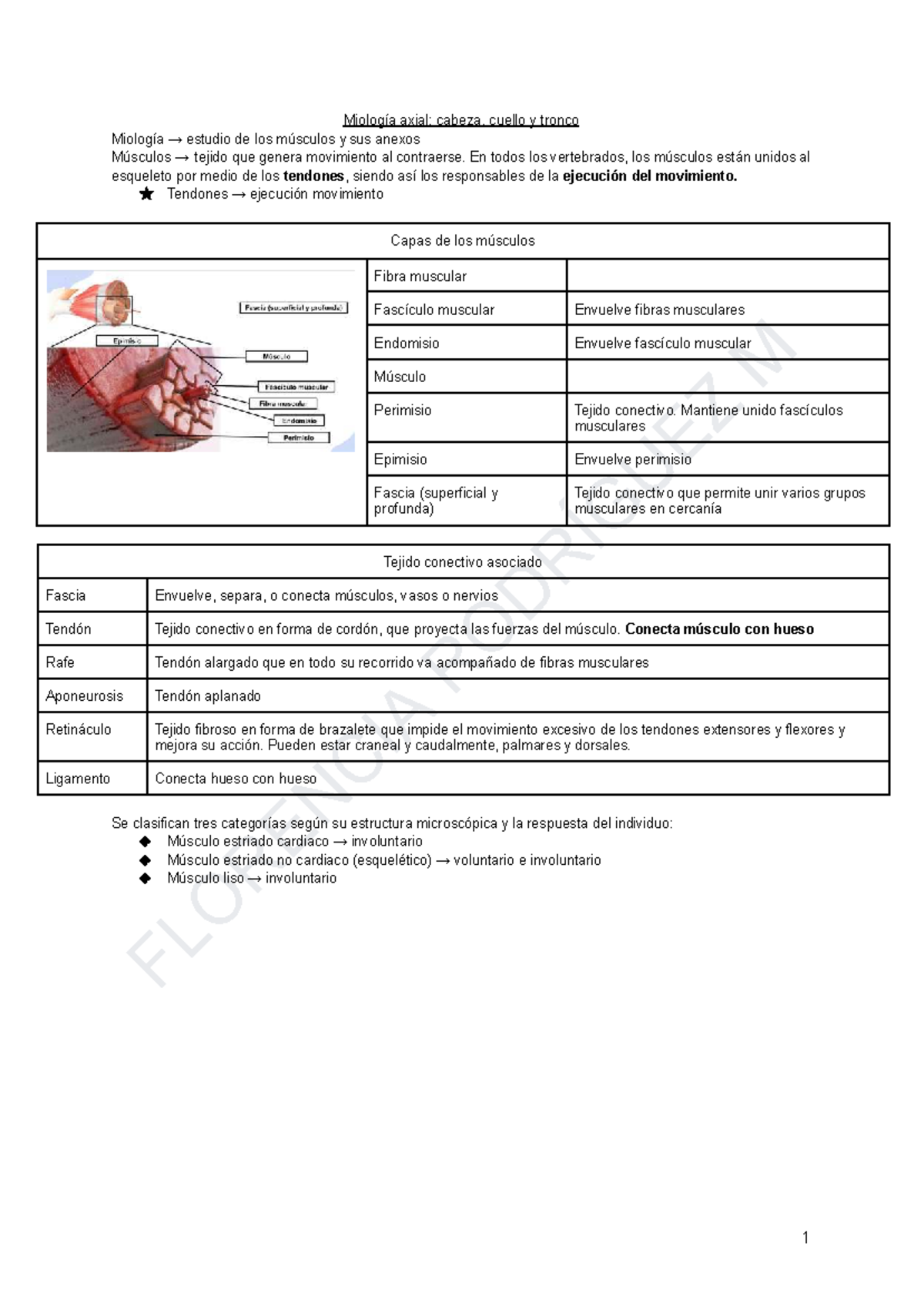 Miología Axial y Apendicular: Estudio de Músculos y Tejidos - Studocu