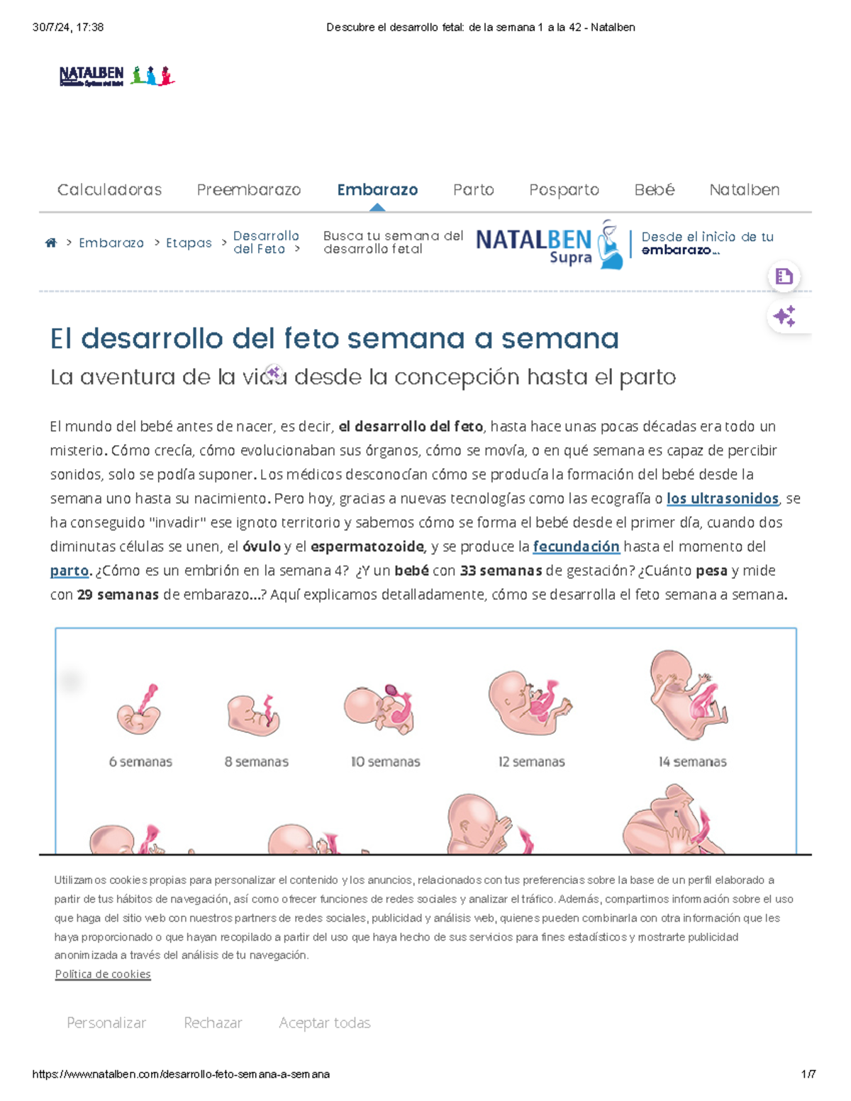 Desarrollo del Feto: Guía Semanal del Embarazo (Semana 1-42) - Studocu