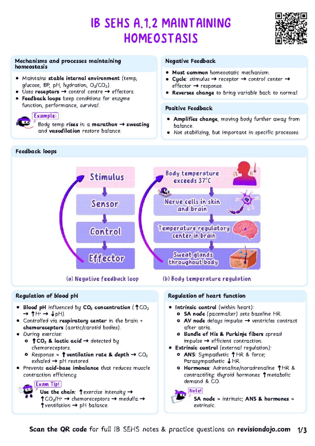 IB SEHS A.1.2 Maintaining Homeostasis: Key Mechanisms & Processes - Studocu