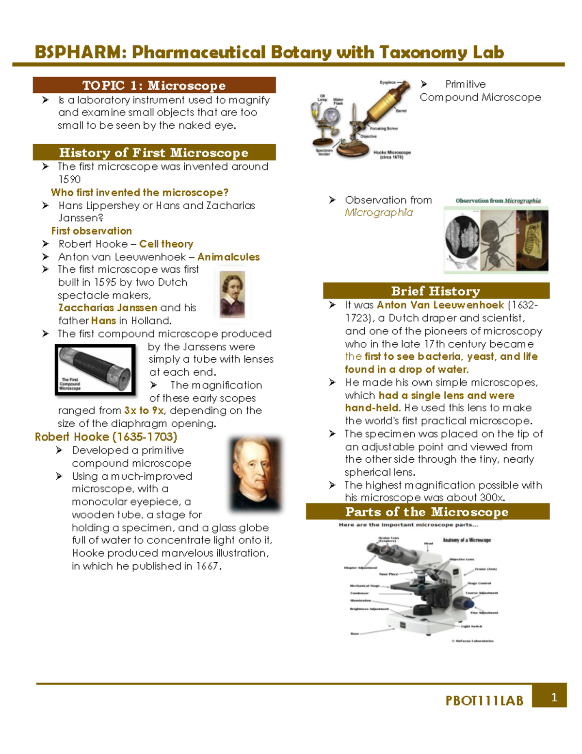 BSPHARM: Pharmaceutical Botany Lab Lesson on Microscopy and Cells - Studocu