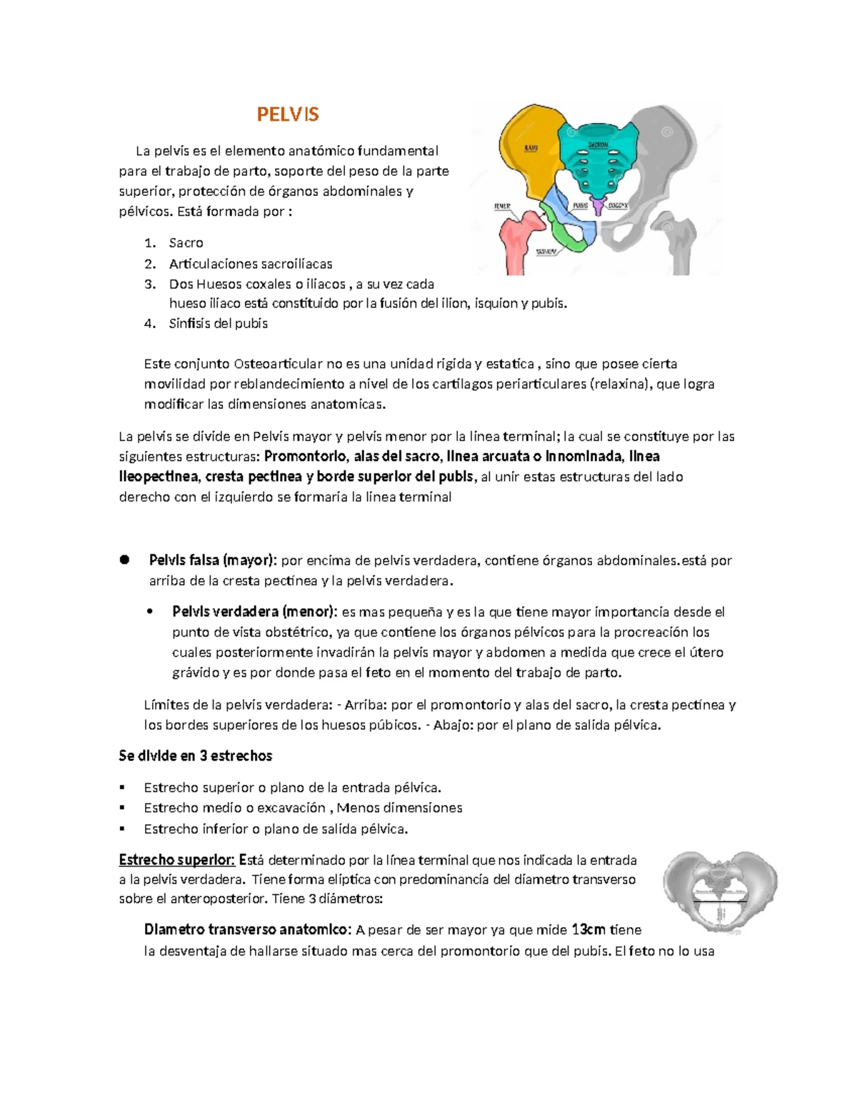 Anatomía del Abdomen: Órganos Retro e Intraperitoneales - Studocu