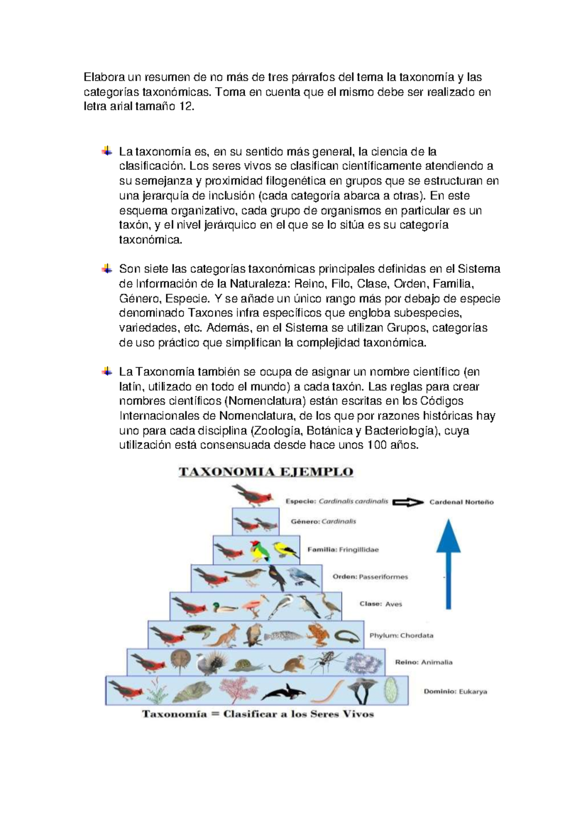 Unidad 4. Actividad 1. Resumen sobre Taxonomía y Categorías Taxonómicas ...