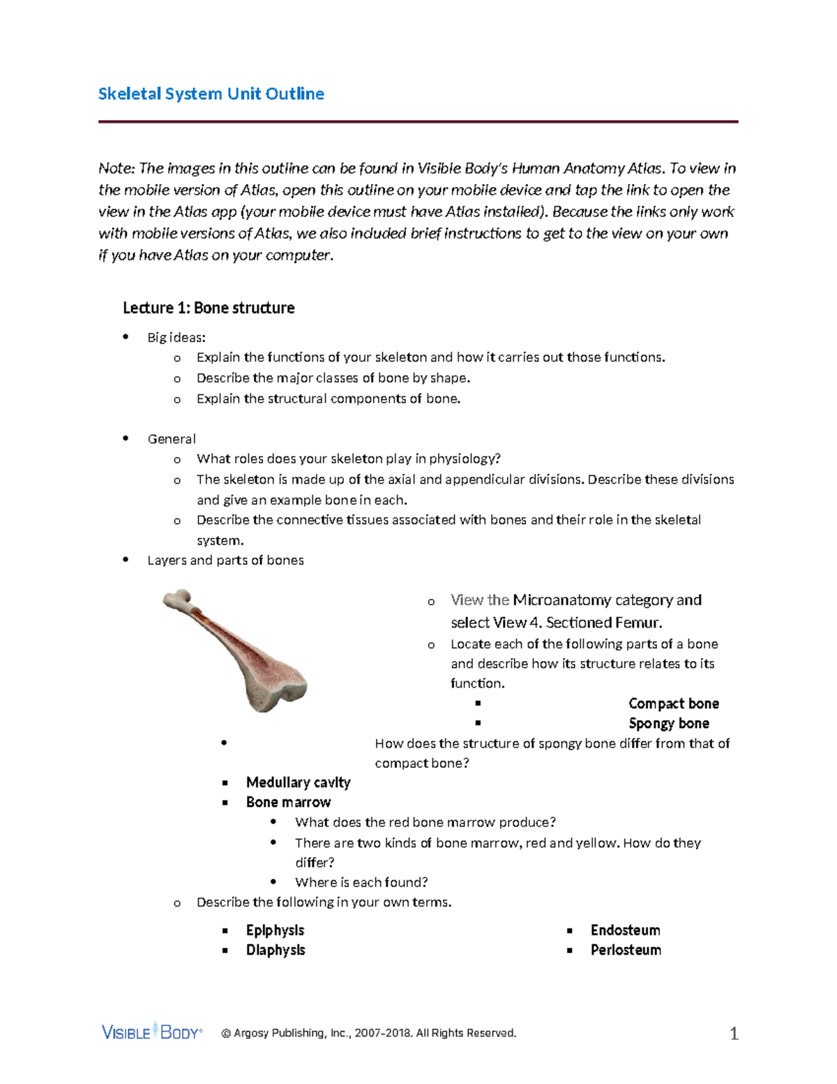 Skeletal System Unit Outline: Structure and Function Overview - Skeletal System Unit Outline ...