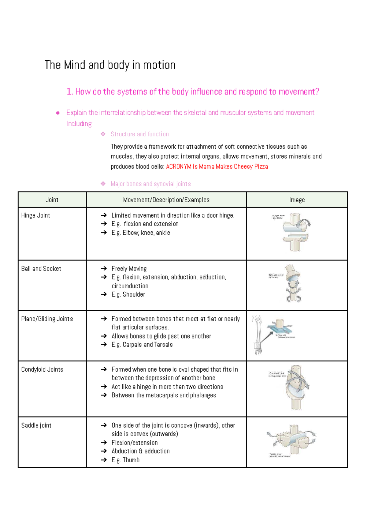 HMS - Year 11 Syllabus Notes: The Interrelationship of Body Systems and ...