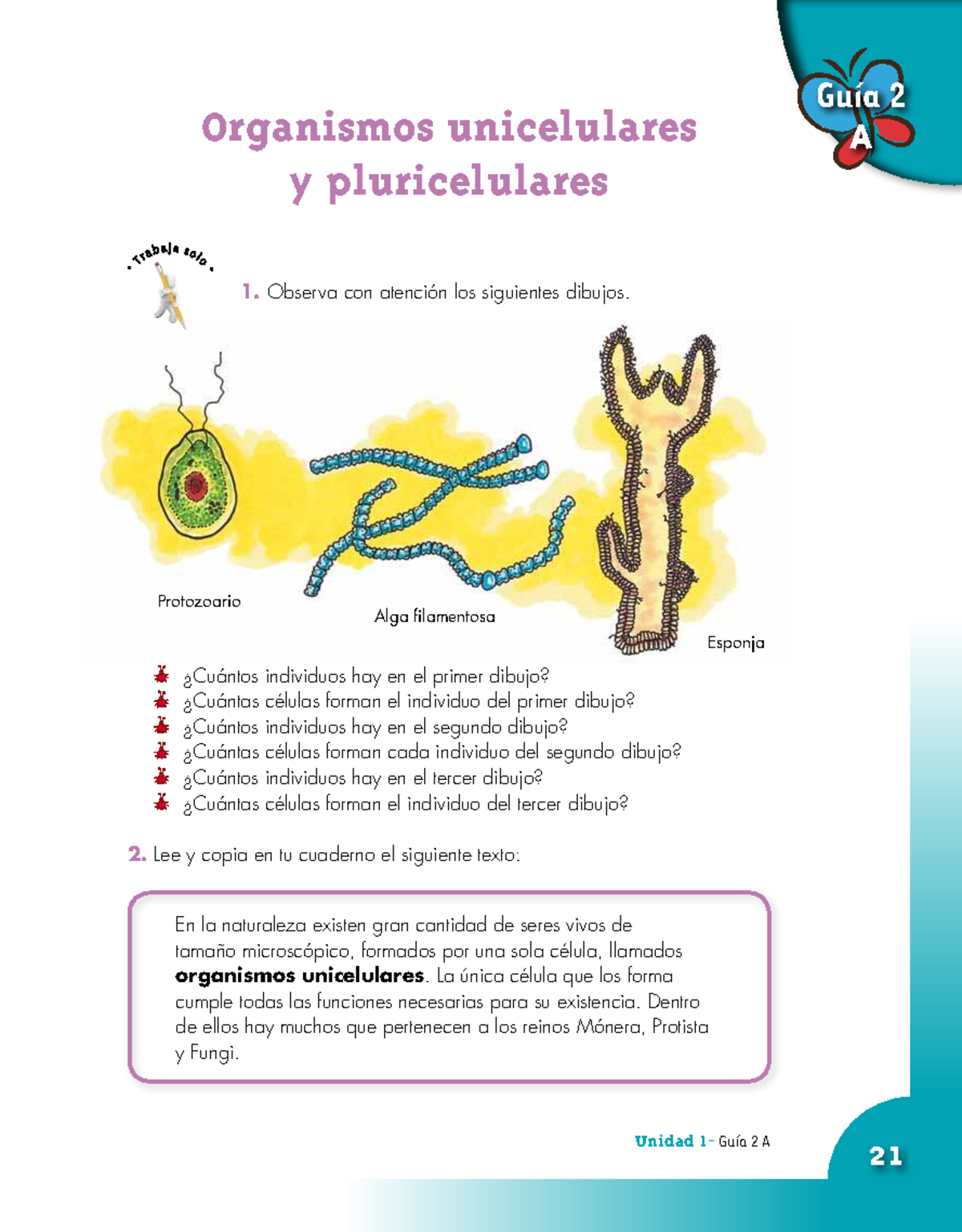 Guía 2 A-D Organismos unicelulares y pluricelulares en Ciencias ...