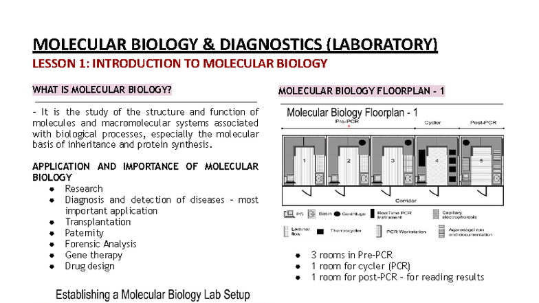 Molecular Biology Diagnostics (LAB) Lesson 1: Intro to Molecular ...