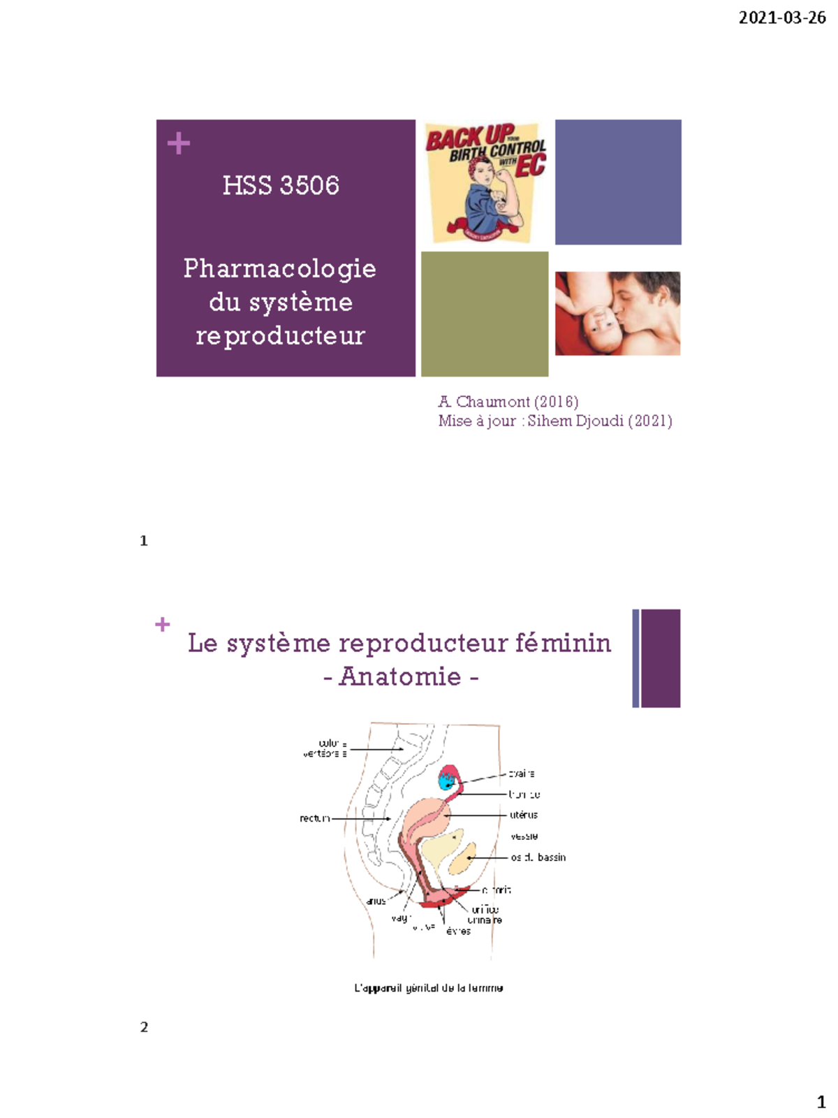 HSS 3506 - Anatomie et Hormones du Système Reproducteur Féminin - Studocu