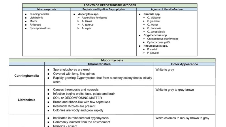 Opportunistic Mycoses Overview: Mucormycosis & Yeast Infections (4 ...