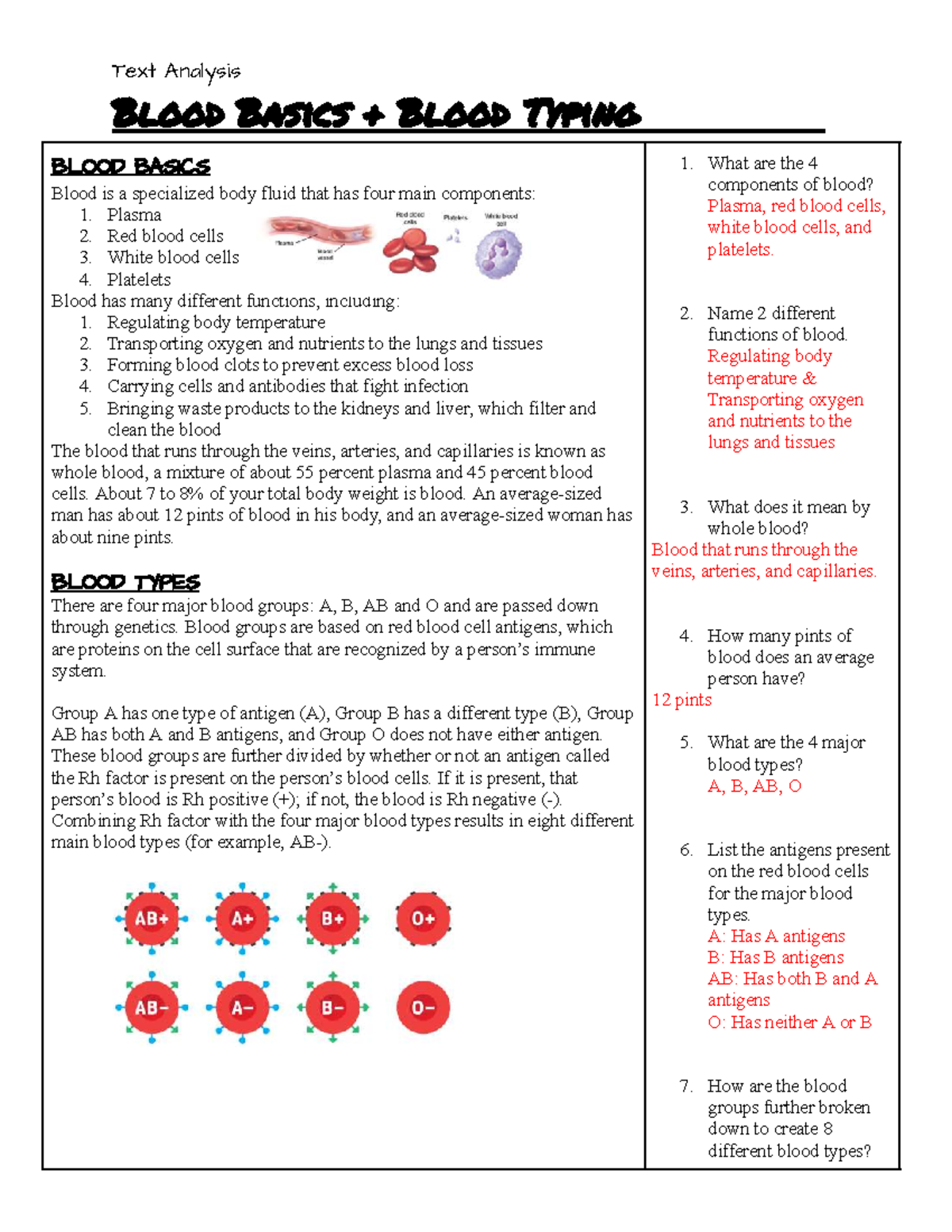 Blood Type Analysis: Understanding Components & Functions of Blood ...