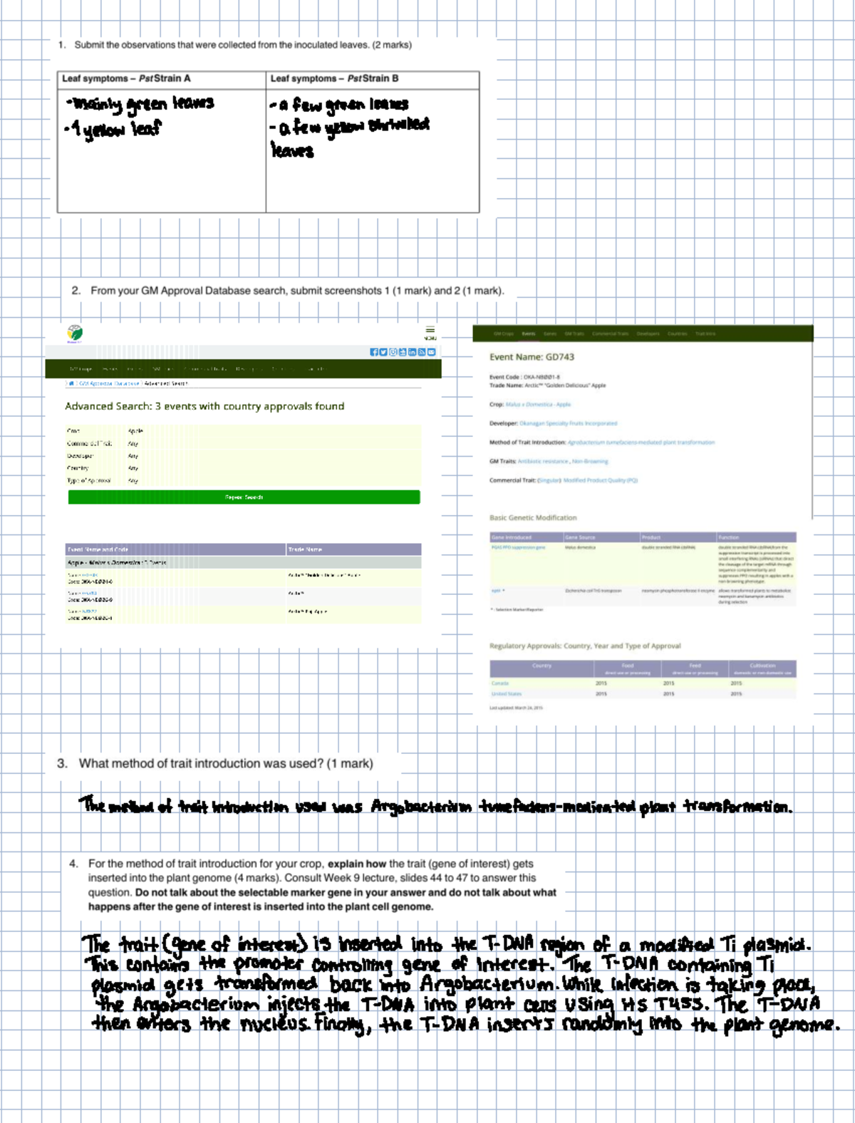 Bio 2d03 lab 9 - Plant biology lab 9 post lab assignment ...