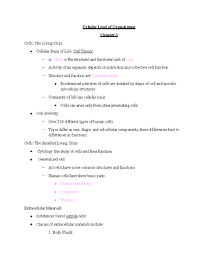 Comprehensive Guide to the Human Skeleton Structure and Function ...
