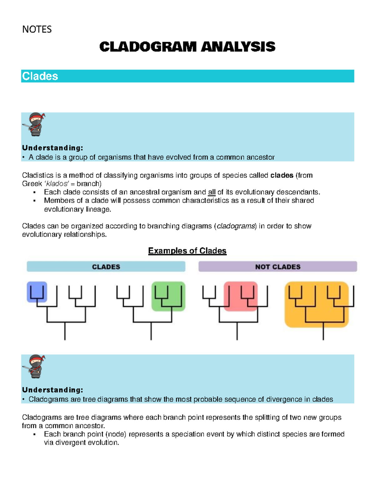 Cladogram Analysis Insights - BIO101 Lecture Notes - Studocu