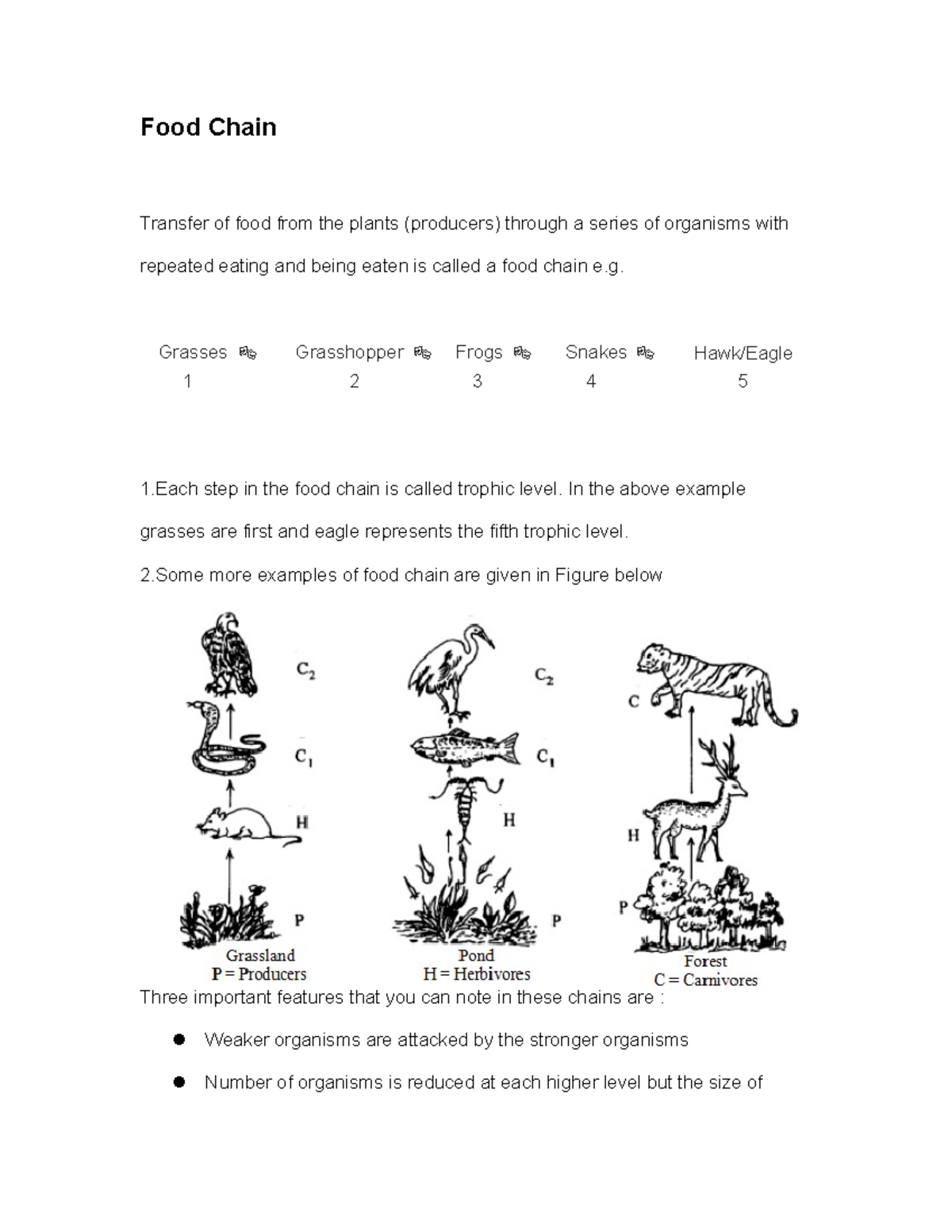 Understanding Food Chains: Trophic Levels & Organism Interactions - Studocu
