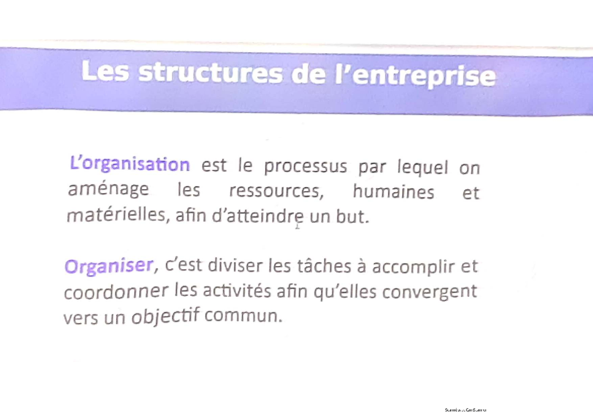 Les structures organisationnelles : concepts et avantages - Cours 2023 ...