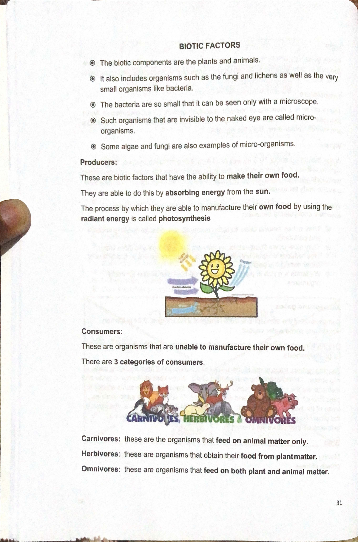 BIOL 101: Biotic Factors - Producers and Consumers Explained - Studocu