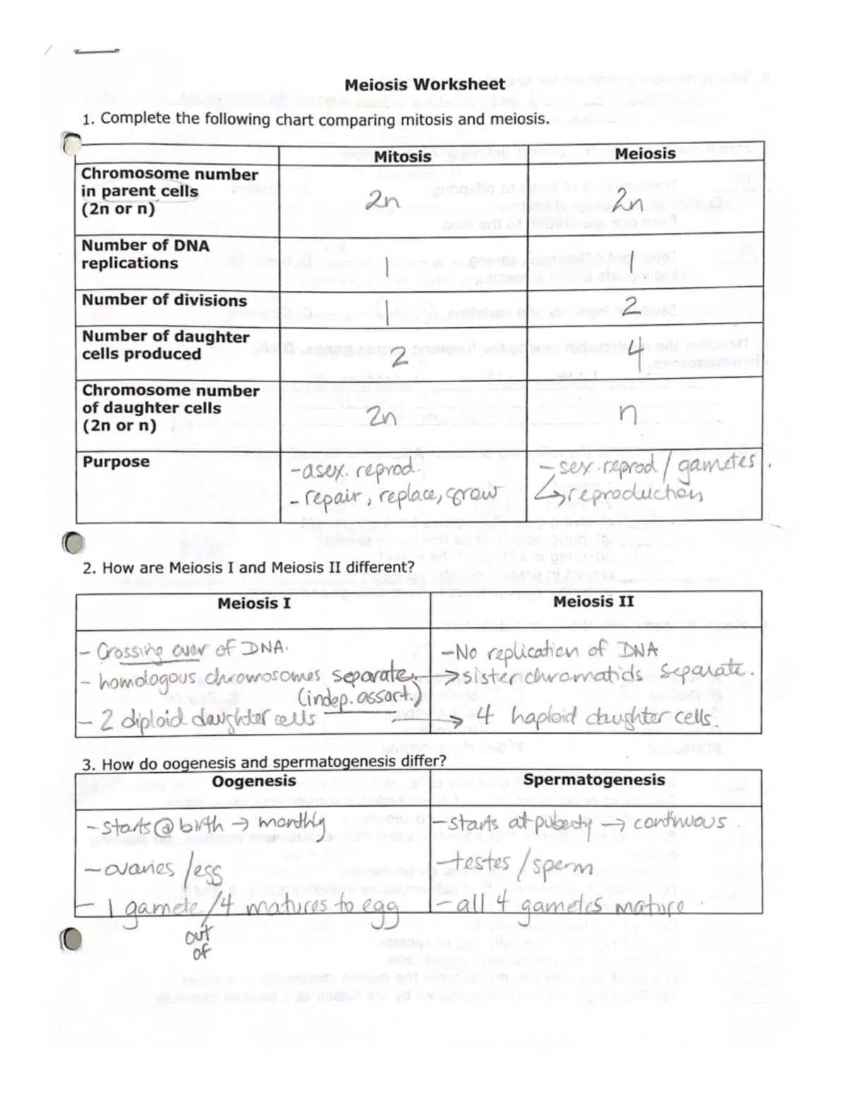 Meiosis Worksheet 1 Answer Key: Mitosis vs. Meiosis Comparison - Studocu