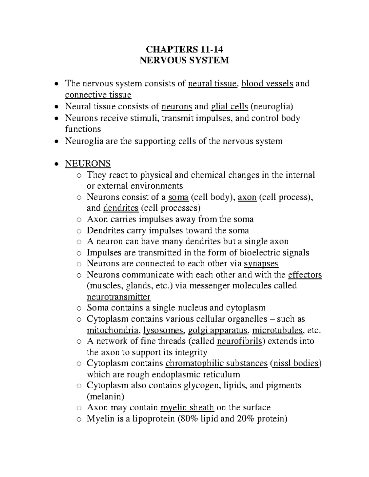 Nervous System Overview: Anatomy, Functions, and Classifications - Studocu