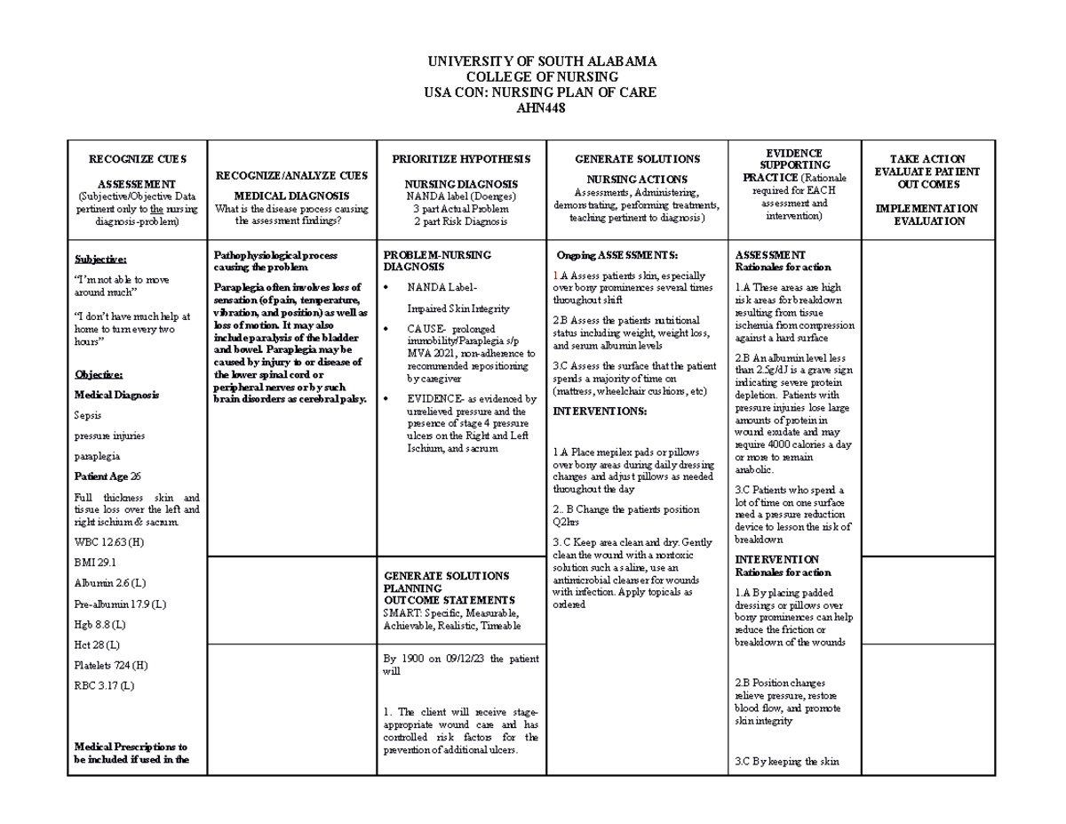 Impaired Skin Integrity To Cellulitis Care Plan Example - Infoupdate.org