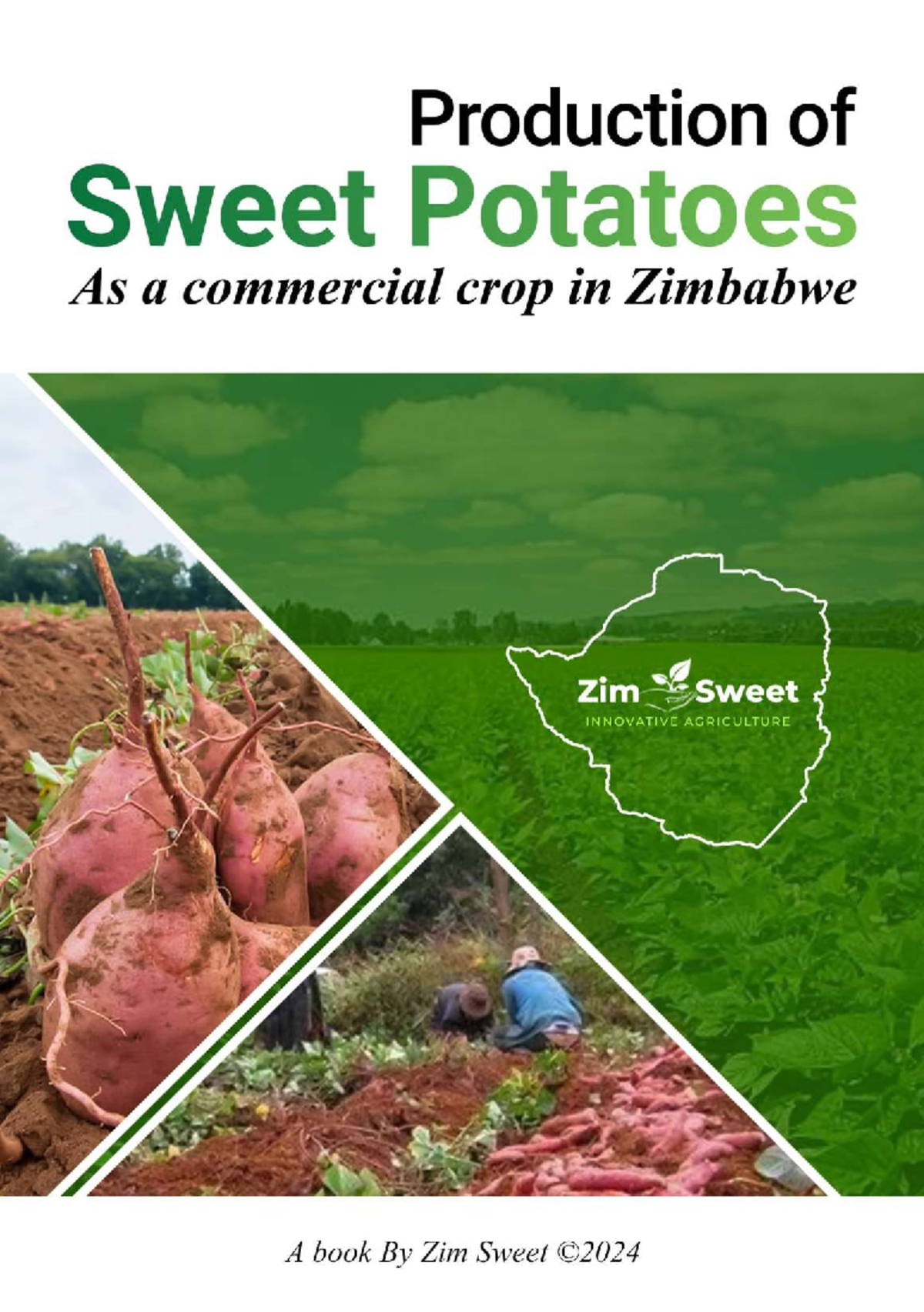 ZIM 101: Sweet Potato Production as a Commercial Crop in Zimbabwe - Studocu