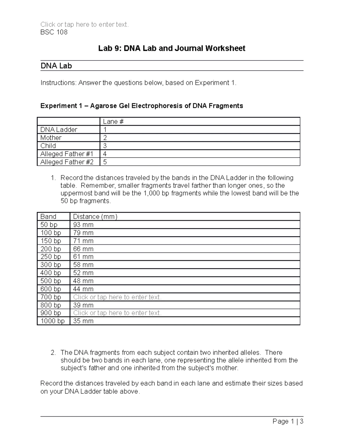 BSC 108 Lab 10 Biology PCR & Gel Electrophoresis Worksheet - Studocu