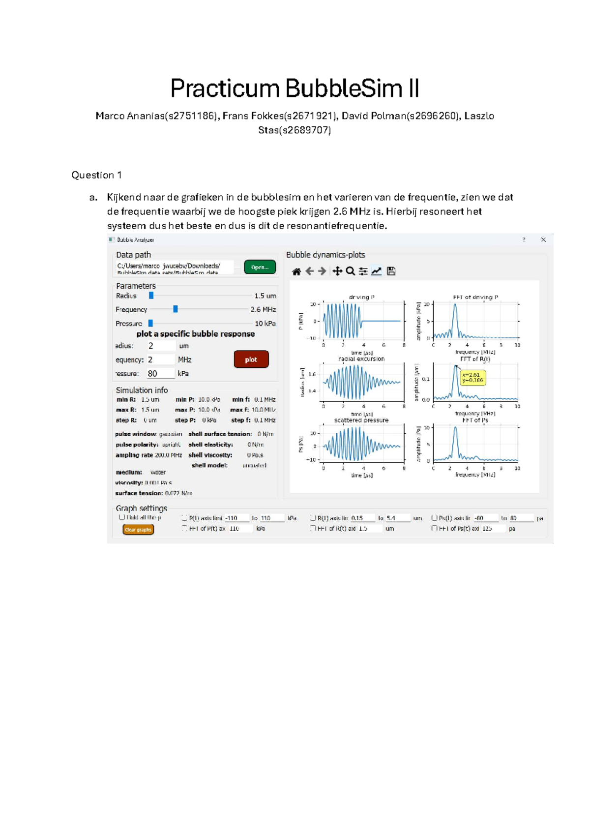 Practicum Bubblesim II: Resonantiefrequenties en Grafiek Analyse - Studeersnel