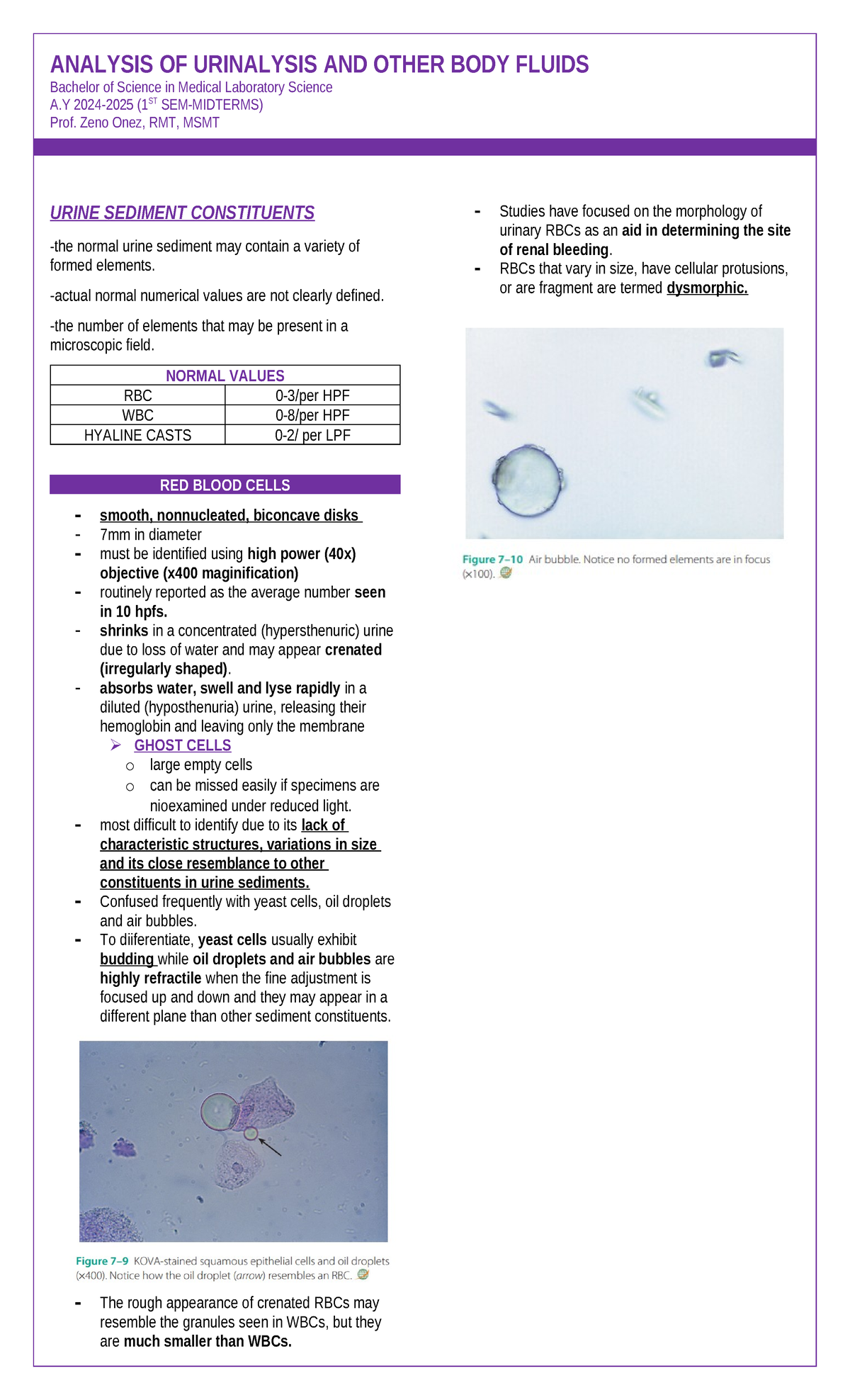 Urine sediments - aubf - Bachelor of Science in Medical Laboratory ...