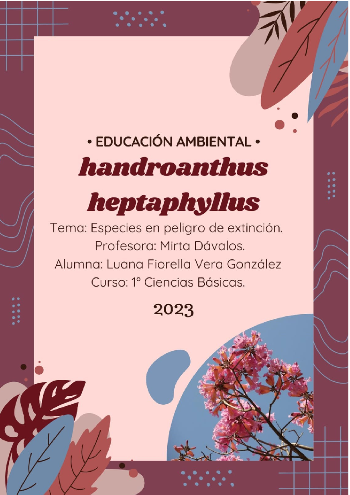Clasificación y Hábitat de Handroanthus heptaphyllus - Studocu