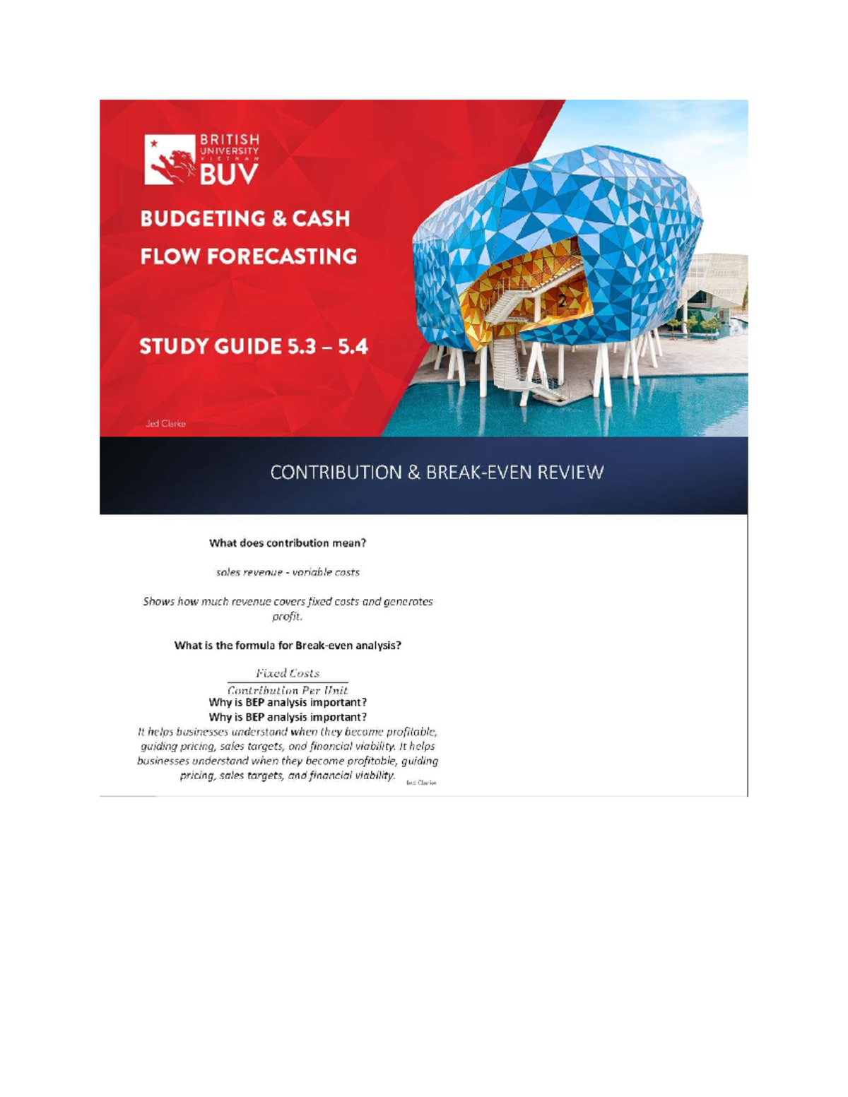 BUV Accounting & Finance Study Guide: Budgeting & Cash Flow Analysis ...