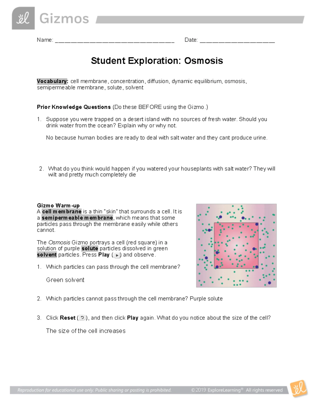 AP Biology Chapter 12-13 Flashcards Quizlet - AP BIOLOGY CHAPTER 12- 4 ...