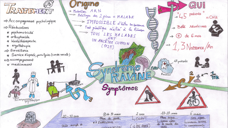 Syndrome de la Ravine (SCAN 20251202) - Étude des Mutations ARN - Studocu
