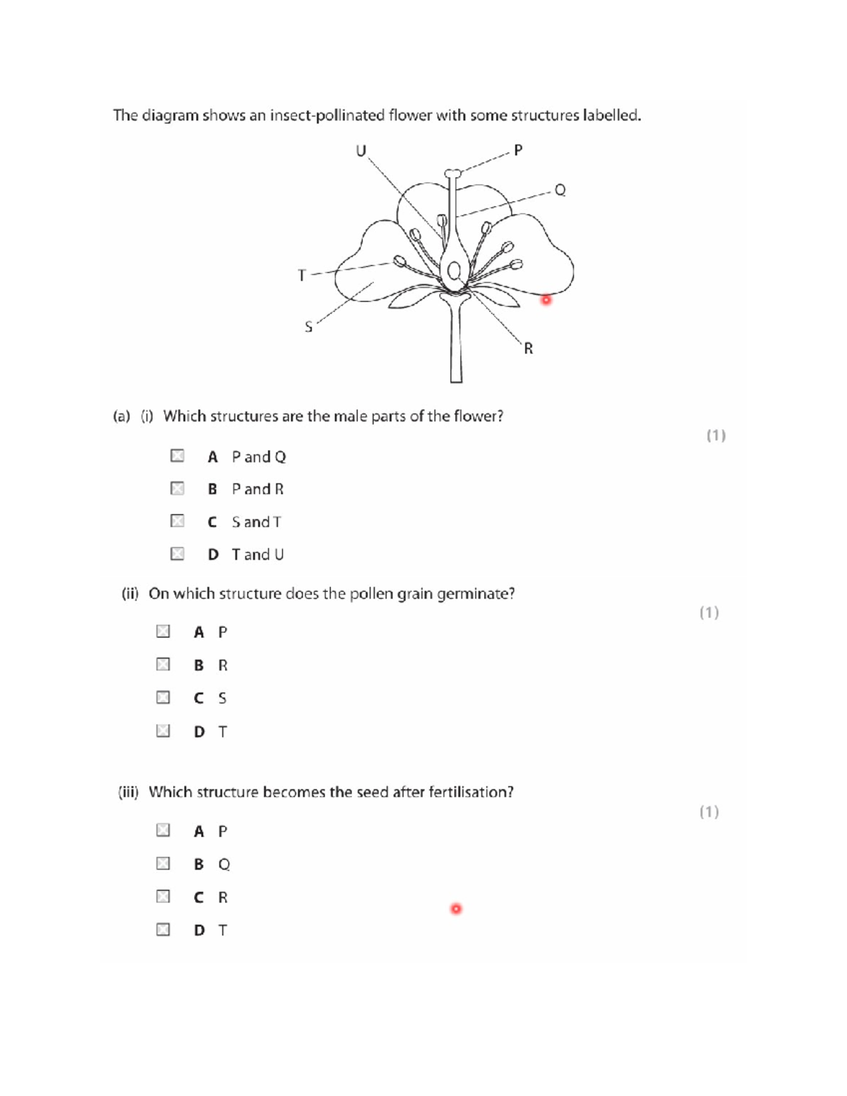 Year 9 Biology Exam Review: Flower Structure & Photosynthesis - Studocu
