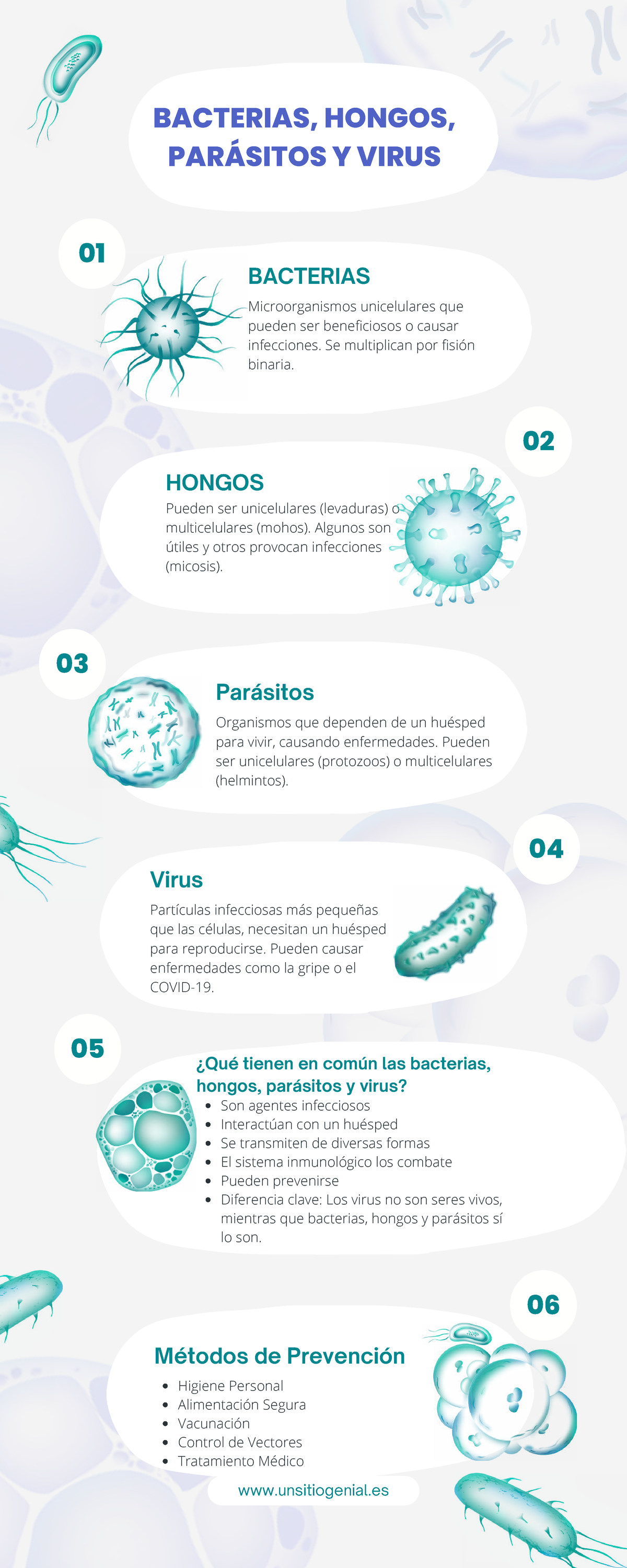 Bacterias, hongos, parásitos y virus: mapa conceptual de la actividad 03 - Studocu