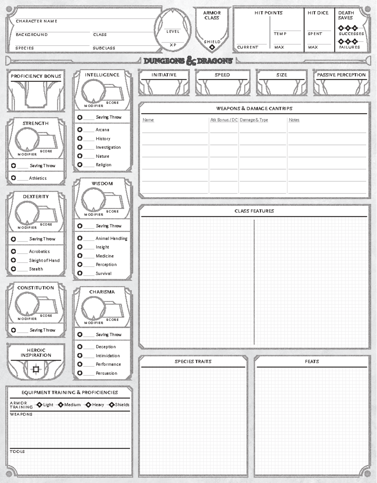 DnD 2024 Character Sheet: Stats, Skills, and Features - Studocu
