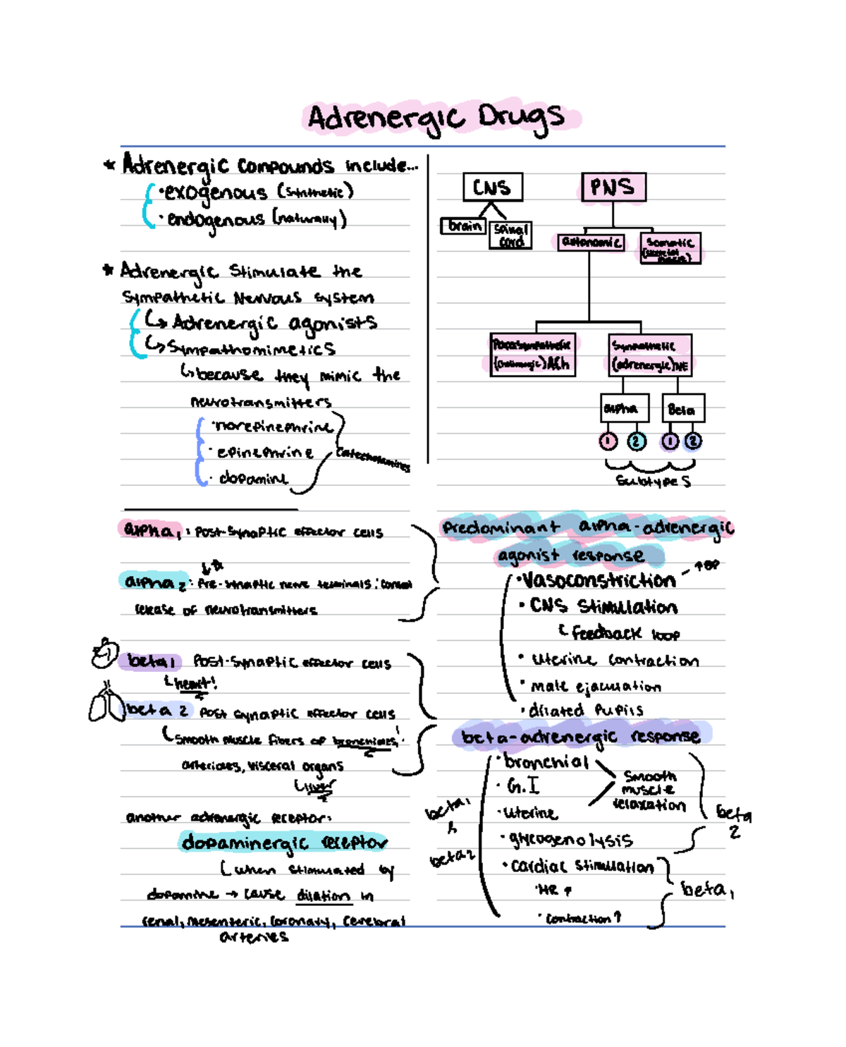Adrenergic Drugs - Adrenergic Drugs Adrenergic compounds include ...