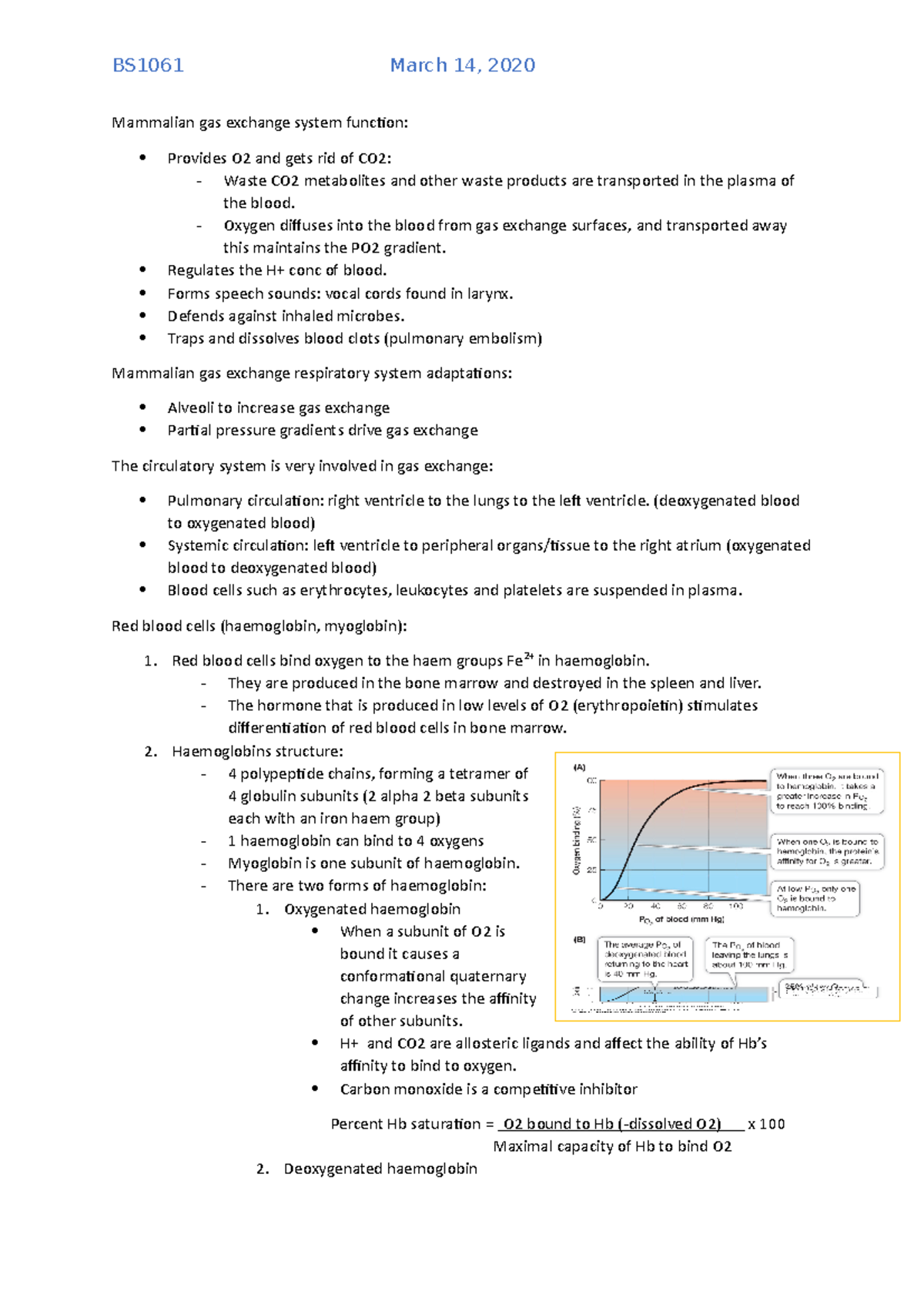 Mammalian gas exchange system function - Oxygen diffuses into the blood ...