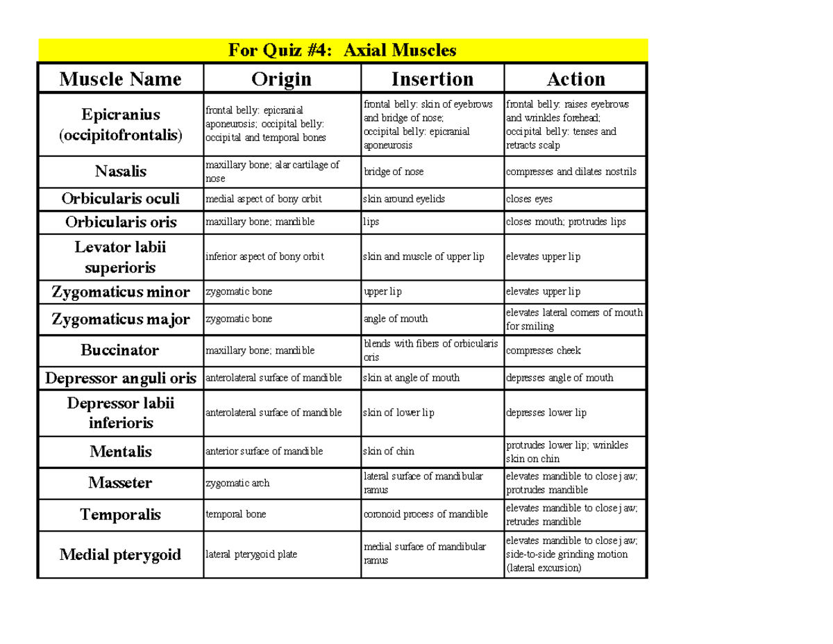 Quiz Study Notes: Human Muscle Chart (Axial & Appendicular) - Studocu