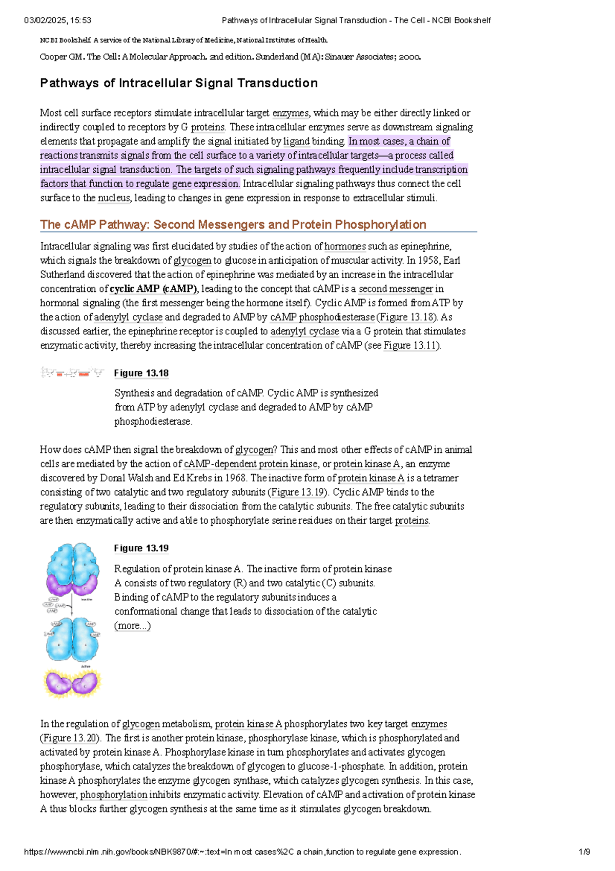 Pathways of Intracellular Signal Transduction - The Cell - NCBI ...