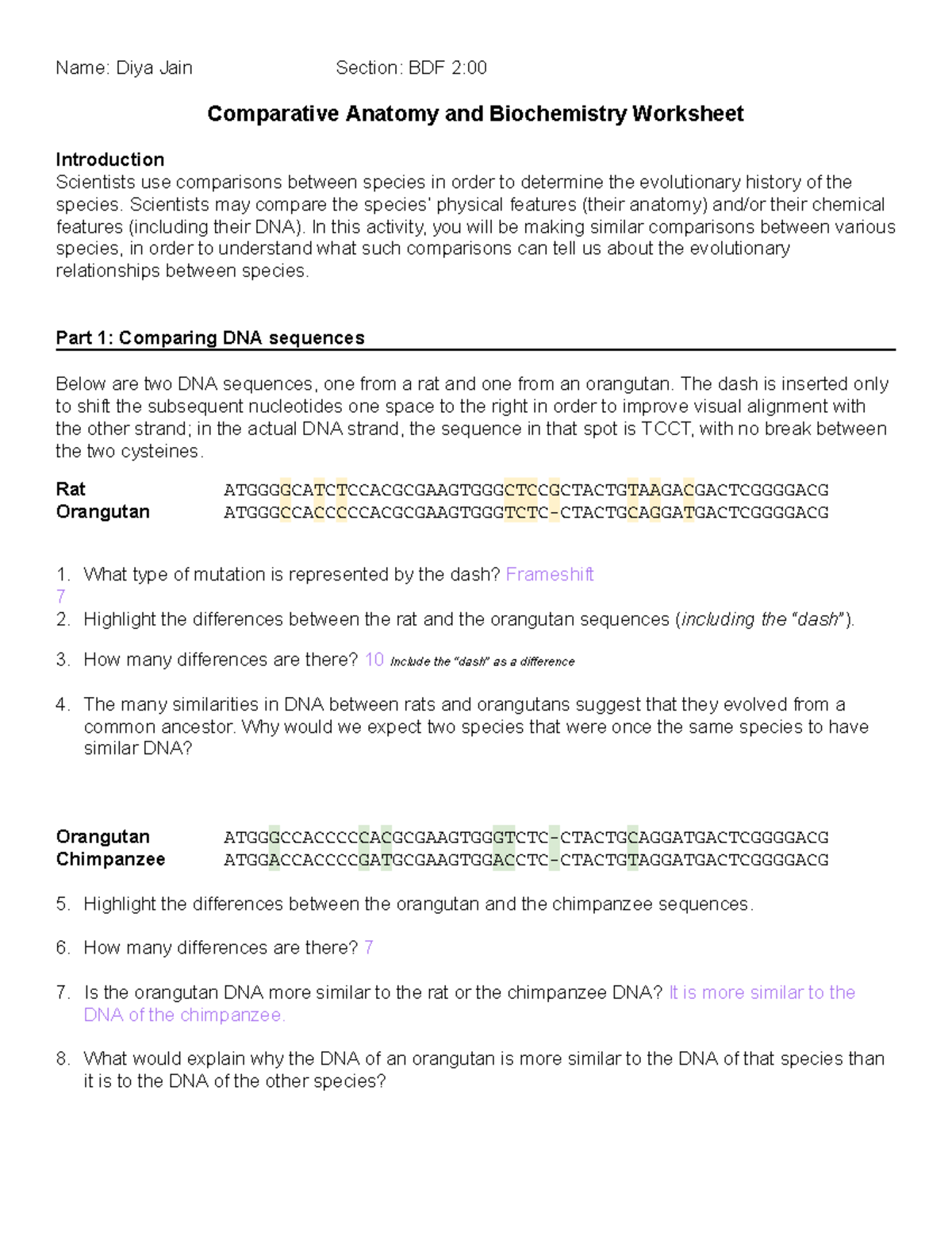 Comparative Anatomy and Evolution Worksheet: Homologous Structures ...