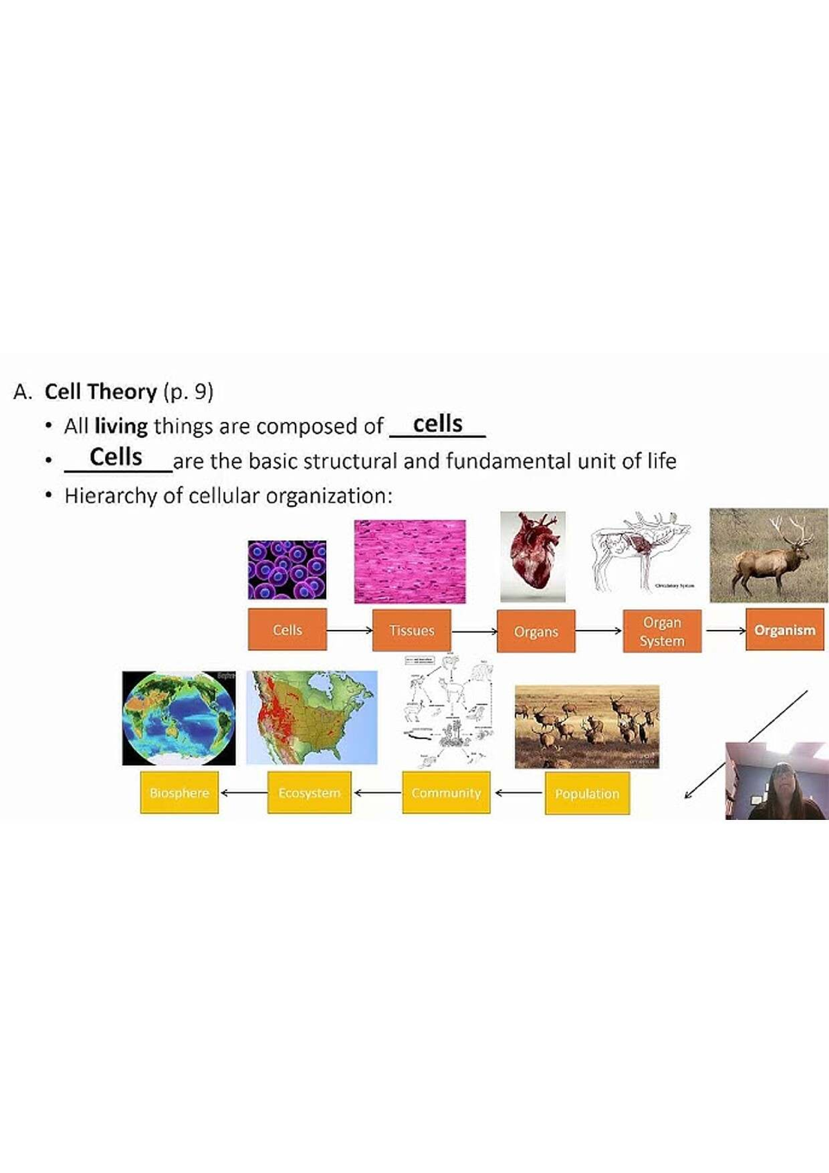 Hq720 - Unit 1 notes - Biol 114 - A. Cell Theory (p. 9) All living ...