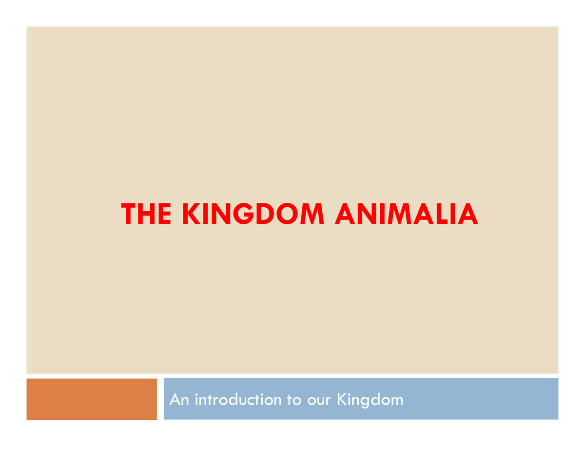 The Kingdom Animalia - THE KINGDOM ANIMALIA An introduction to our ...