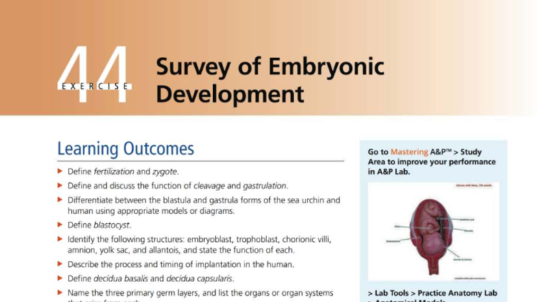 Prelab EX44 - AAP Review Sheet on Embryonic Development Concepts - Studocu