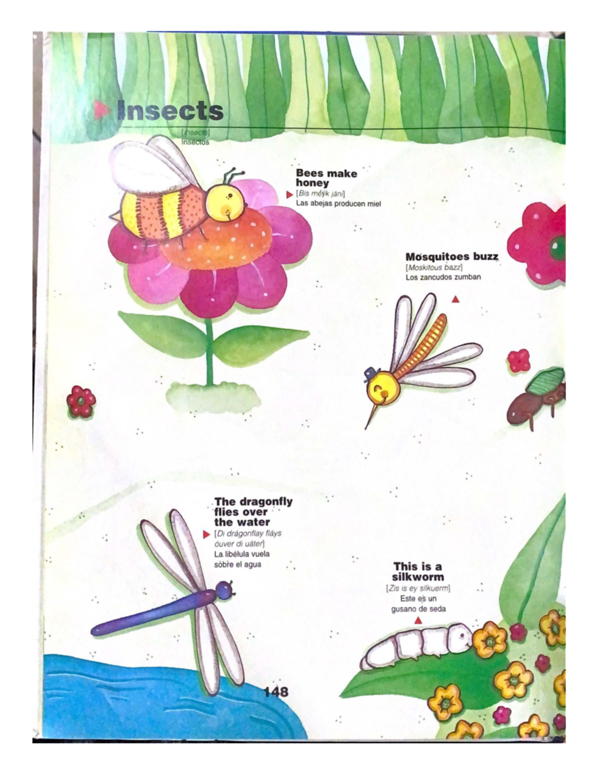 Insects and Animals: A Bilingual Overview (ENG-SPA) - Studocu