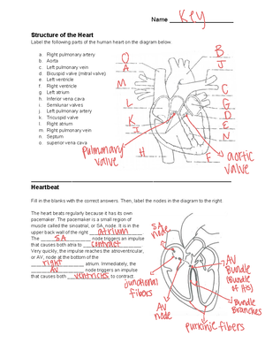 [Solved] Which ocean lies between the United States and Europe A ...