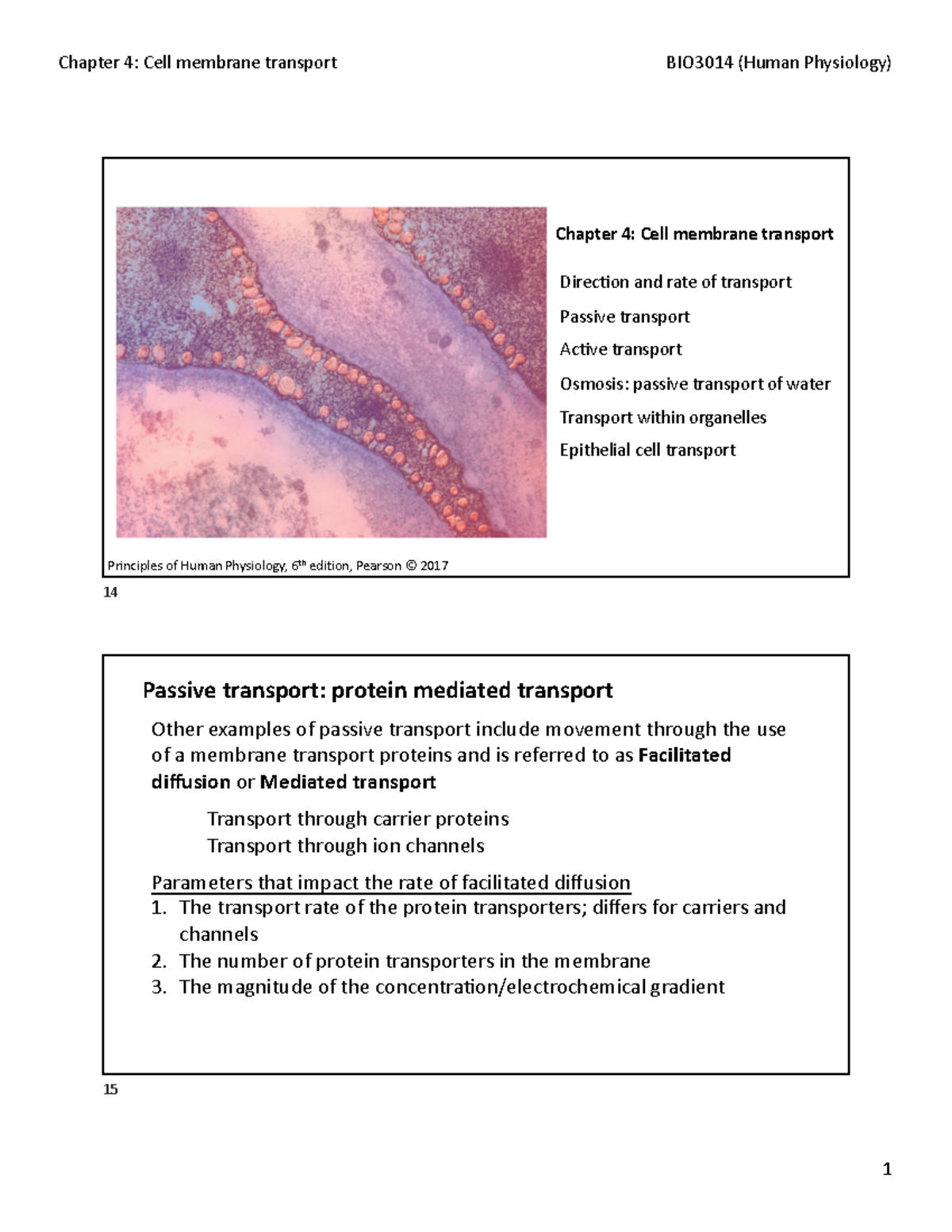 Chapter 4: Cell Membrane Transport Concepts and Mechanisms (BIO3014 ...